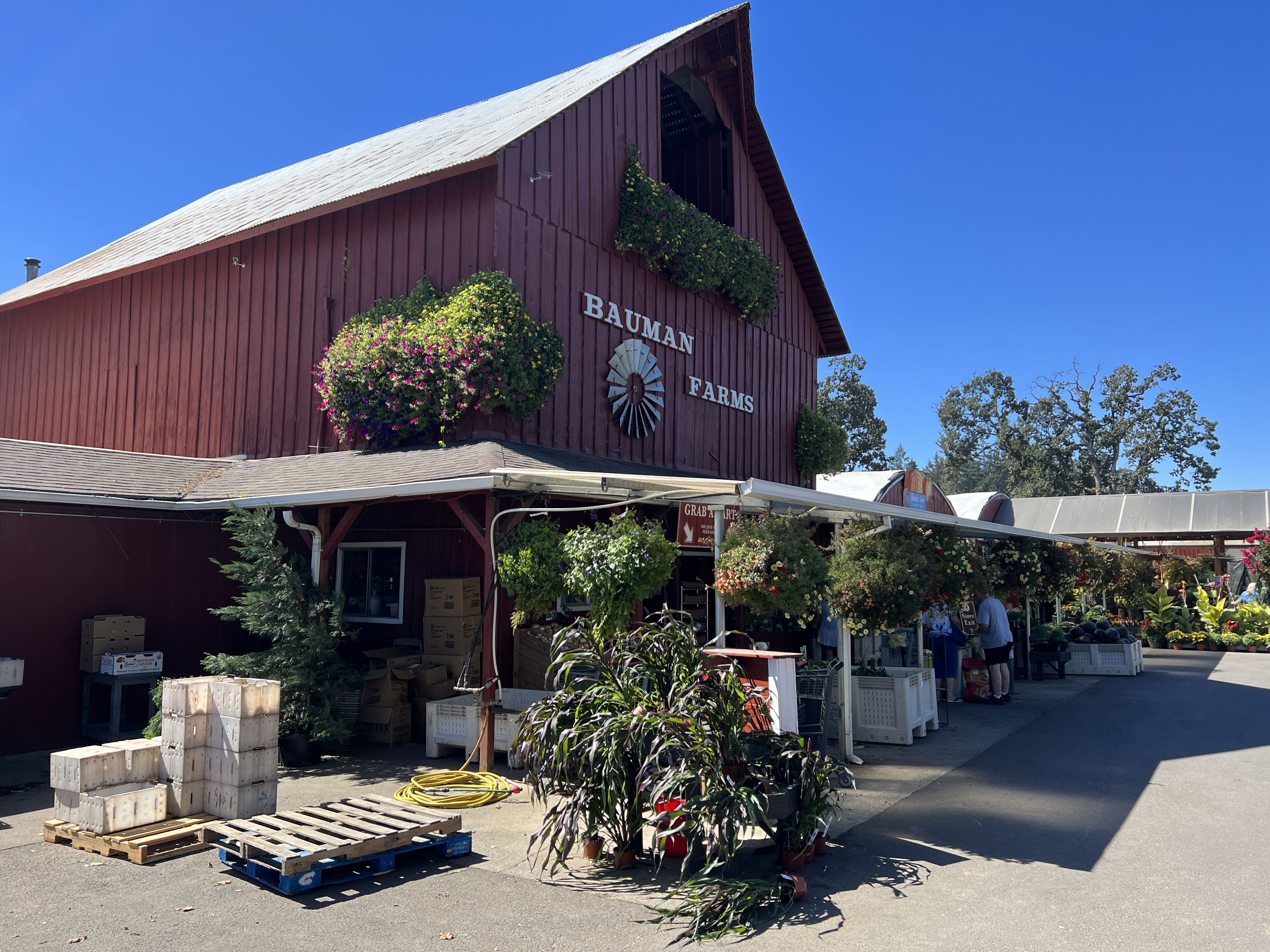 Bauman's Cider of Gervais, Oregon - oregonlive.com