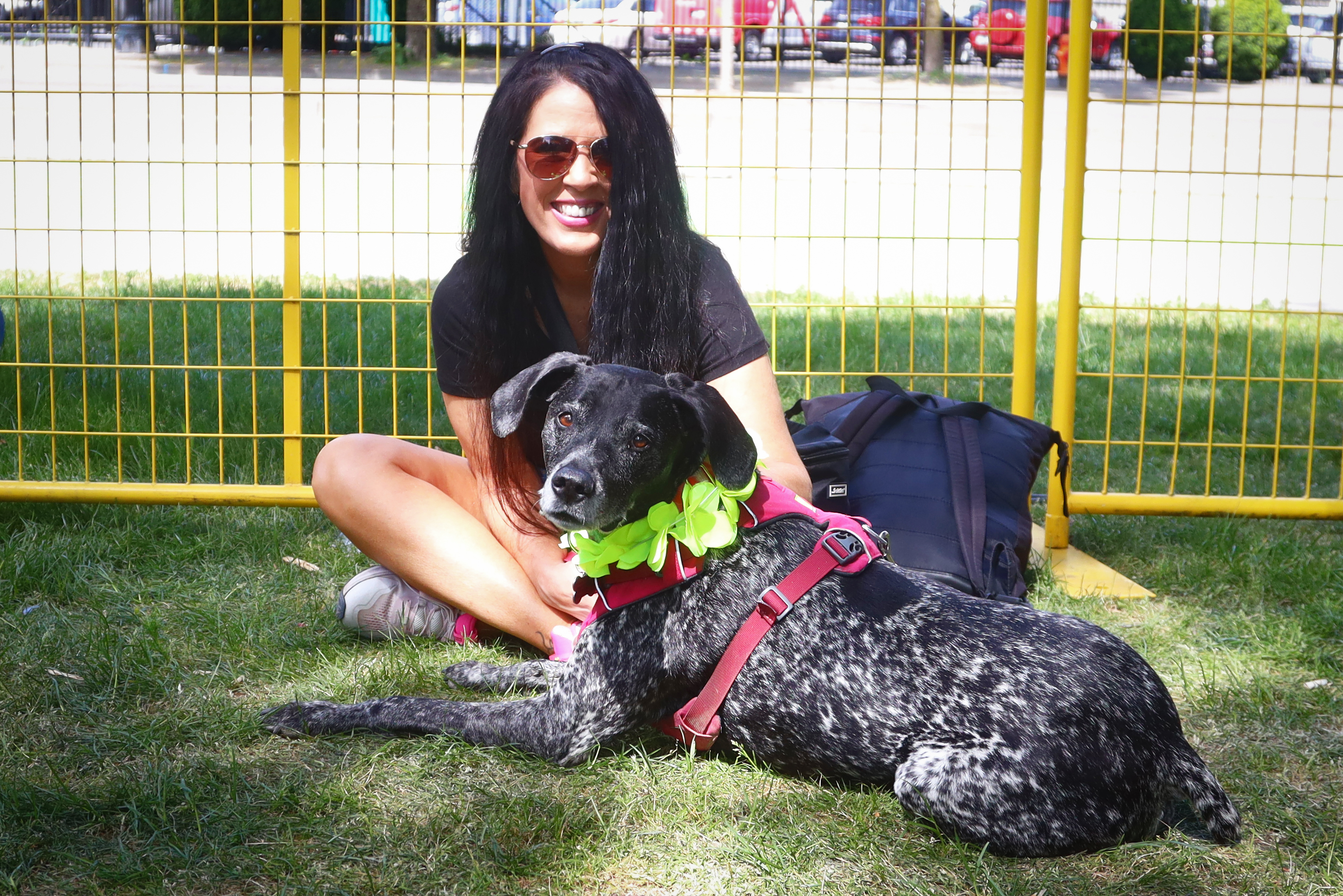 Oregon Humane Society Doggie Dash 2025 - oregonlive.com