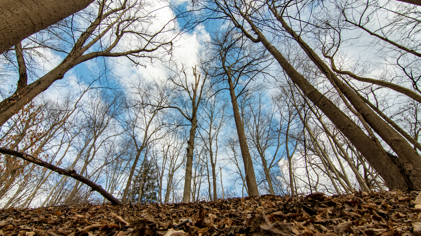 Hyperlocal Watchung Reservation - nj.com