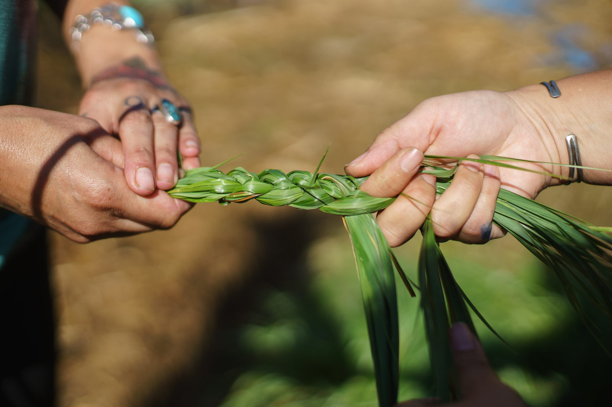 Native American Youth and Family Center's community garden - oregonlive.com