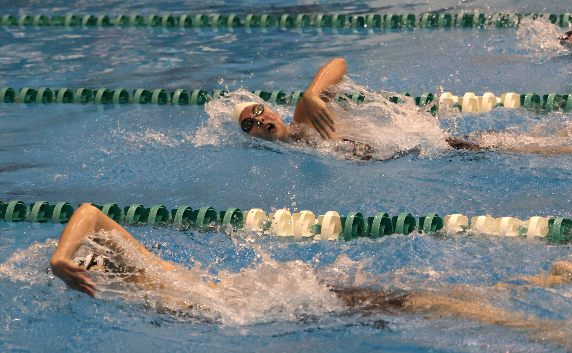 49th Viking Invitational Swim Meet at CSU - cleveland.com