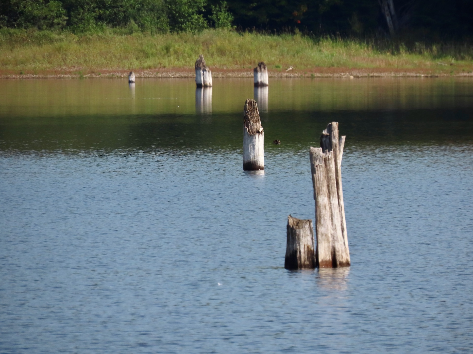 The troubled Au Train Dam - mlive.com