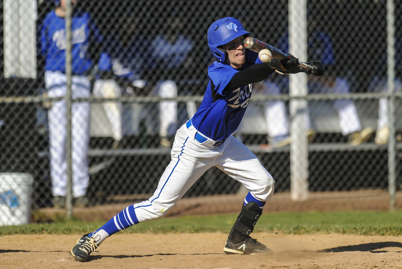 West Windsor-Plainsboro North at Hamilton West Baseball - nj.com
