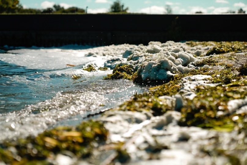 Testing finds PFAS in Muskegon Lake foam - mlive.com