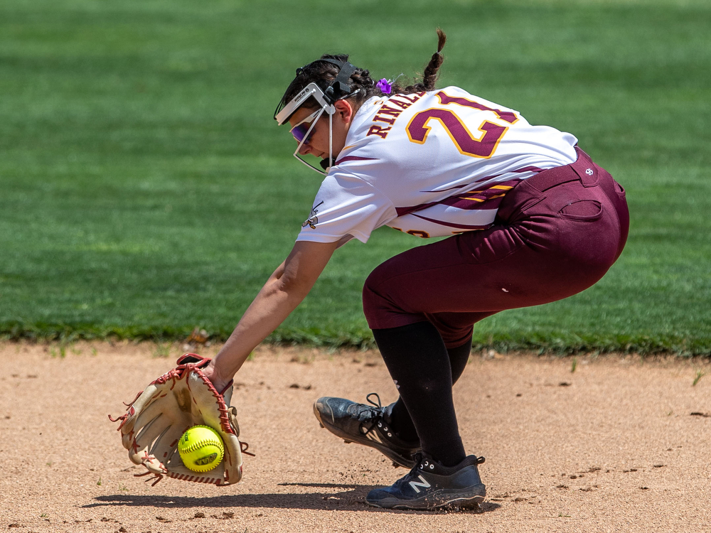 Big Spring puts up fight but falls to Hamburg in D3 softball title game ...