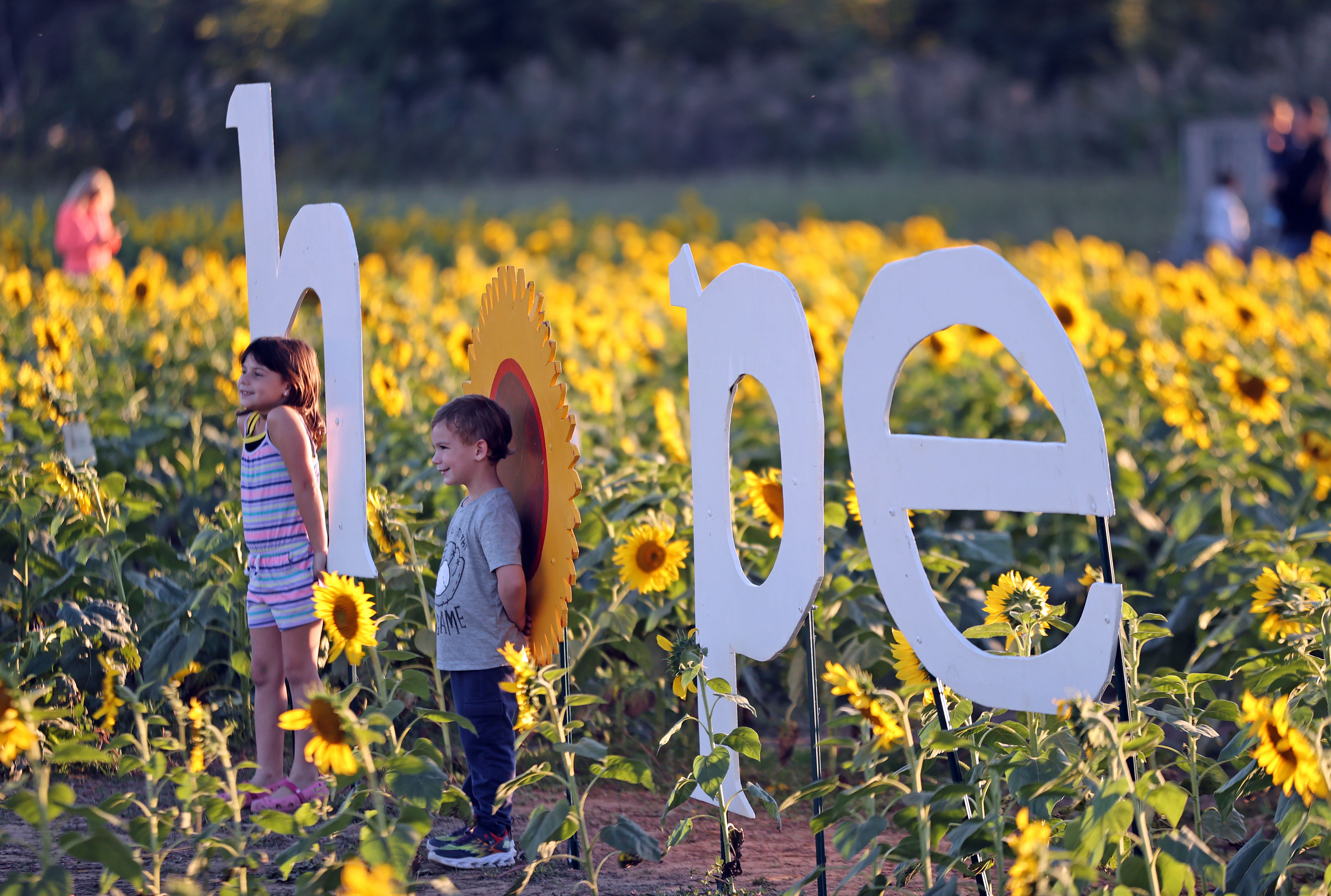 Maria’s Field of Hope in Avon is in full bloom, September 29, 2021 ...
