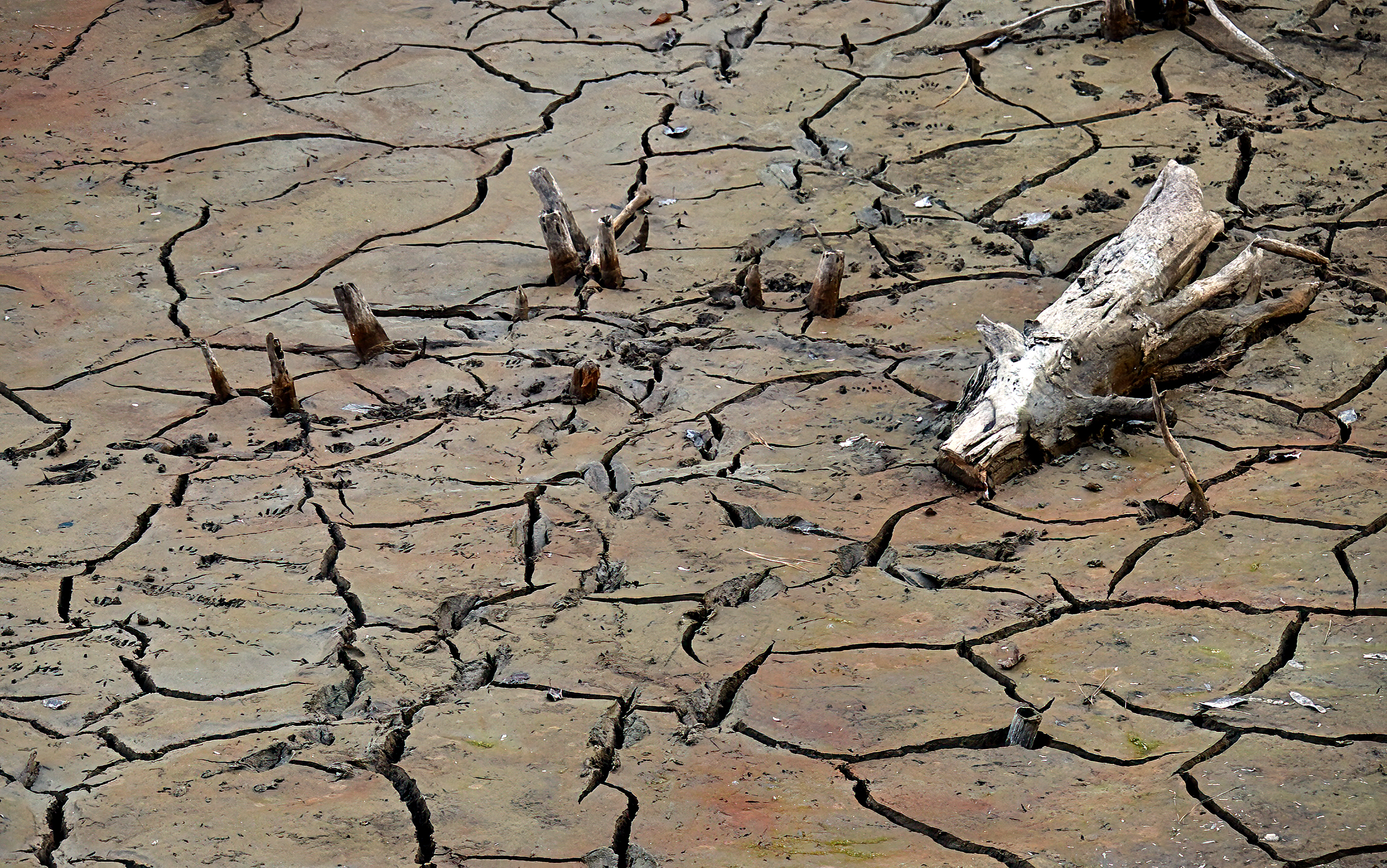 Drought in Alabama 2024 - al.com