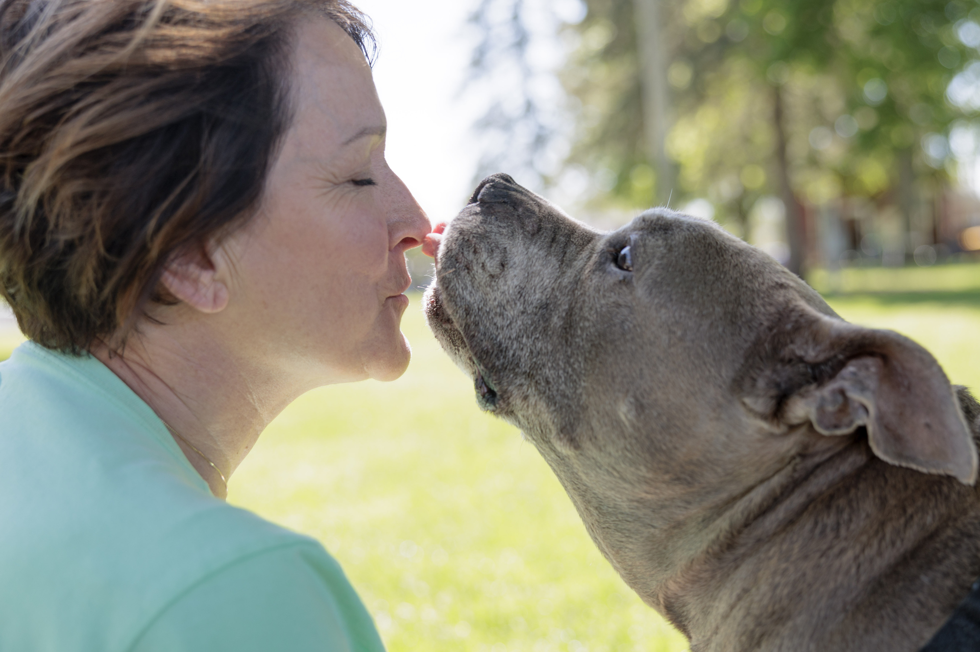 Lap of Love Veterinary Hospice offers end-of-life care for Ann Arbor ...