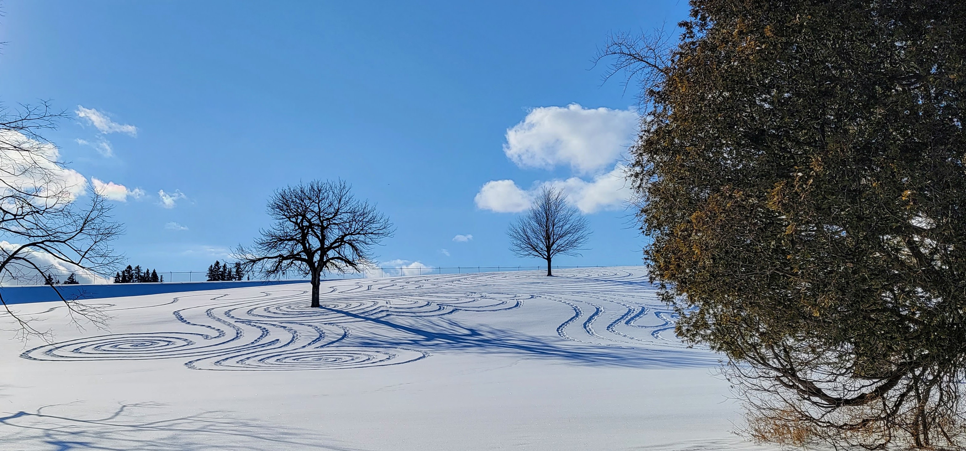Woodland Reservoir snow circles - syracuse.com