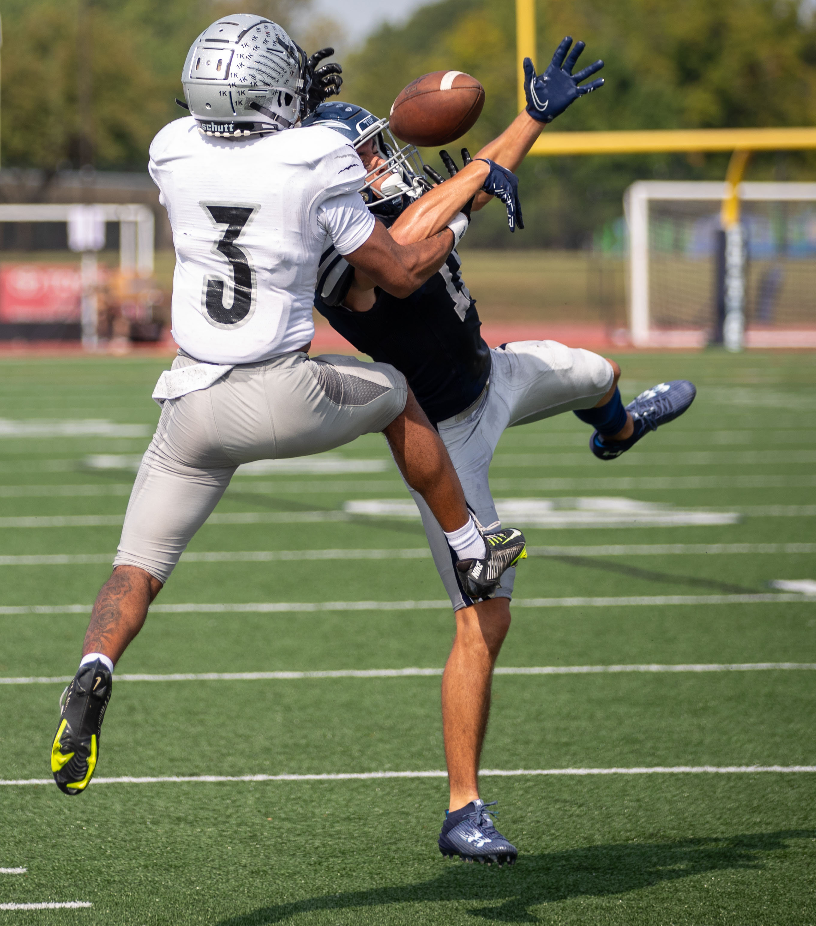 Manheim Township defeats Harrisburg 38-6 - pennlive.com