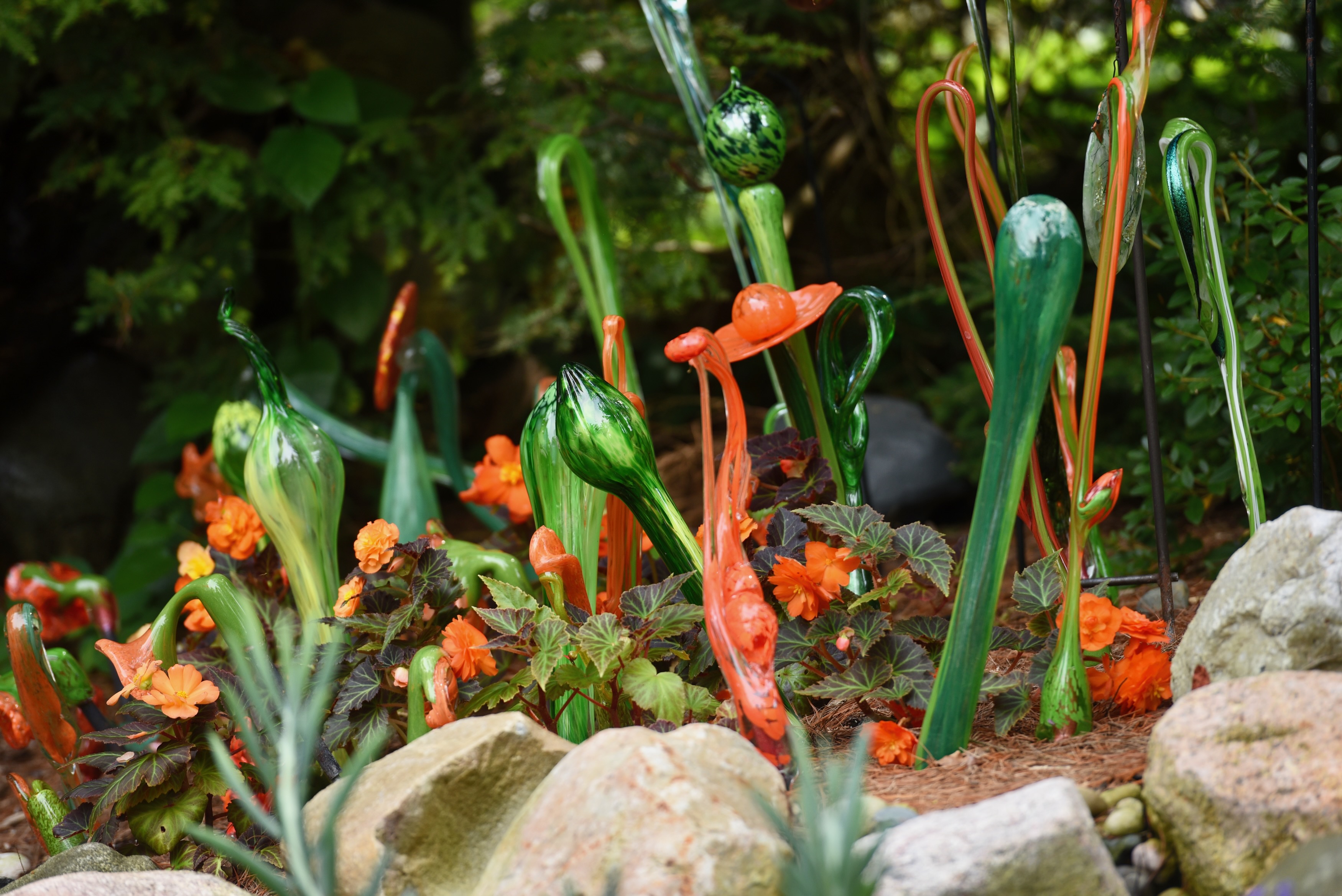 Ann Arbor artist Larry Nisson's glass artwork and backyard garden ...