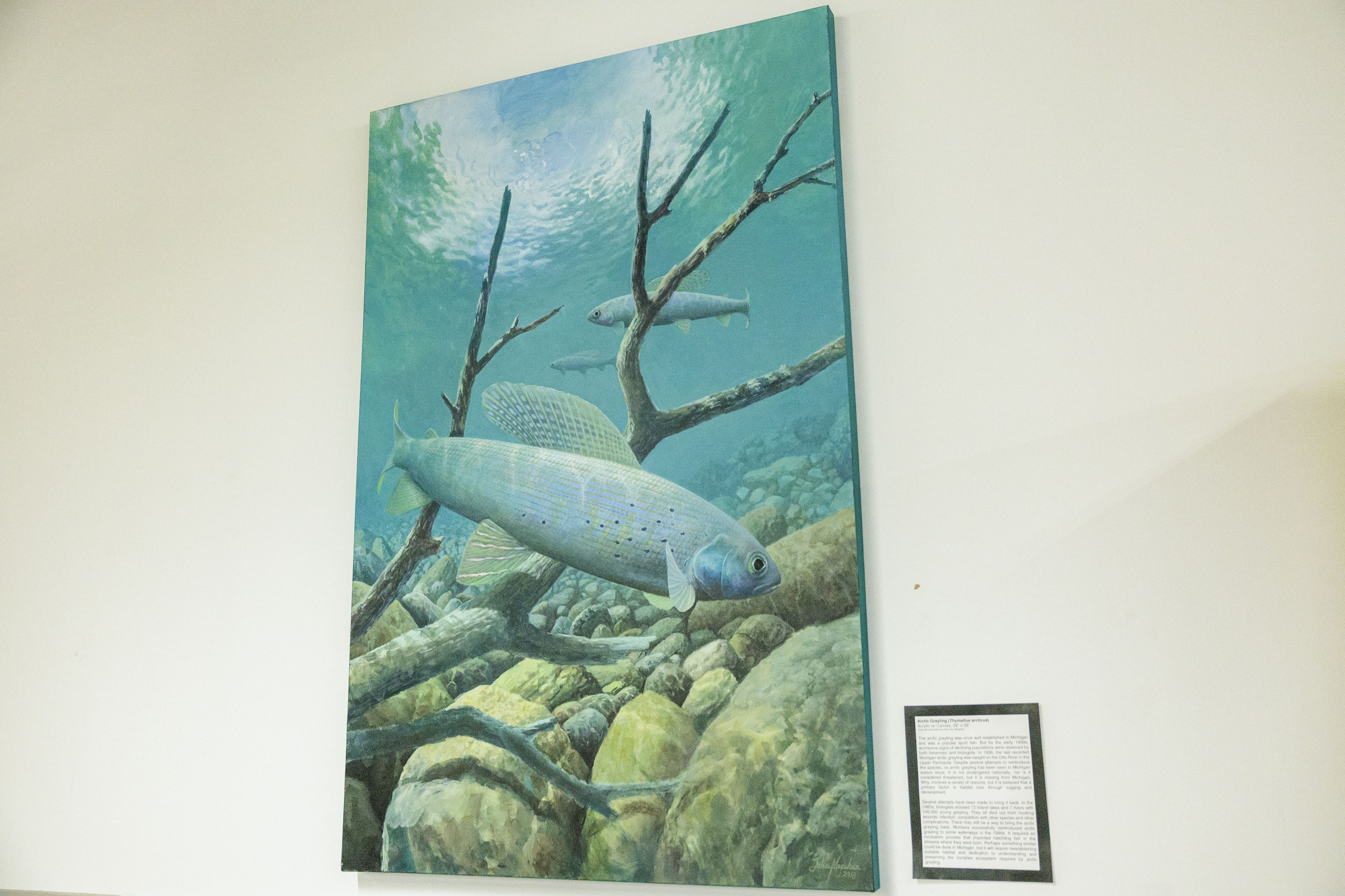 University of Michigan’s Zoology Museum and Herbarium at Research ...
