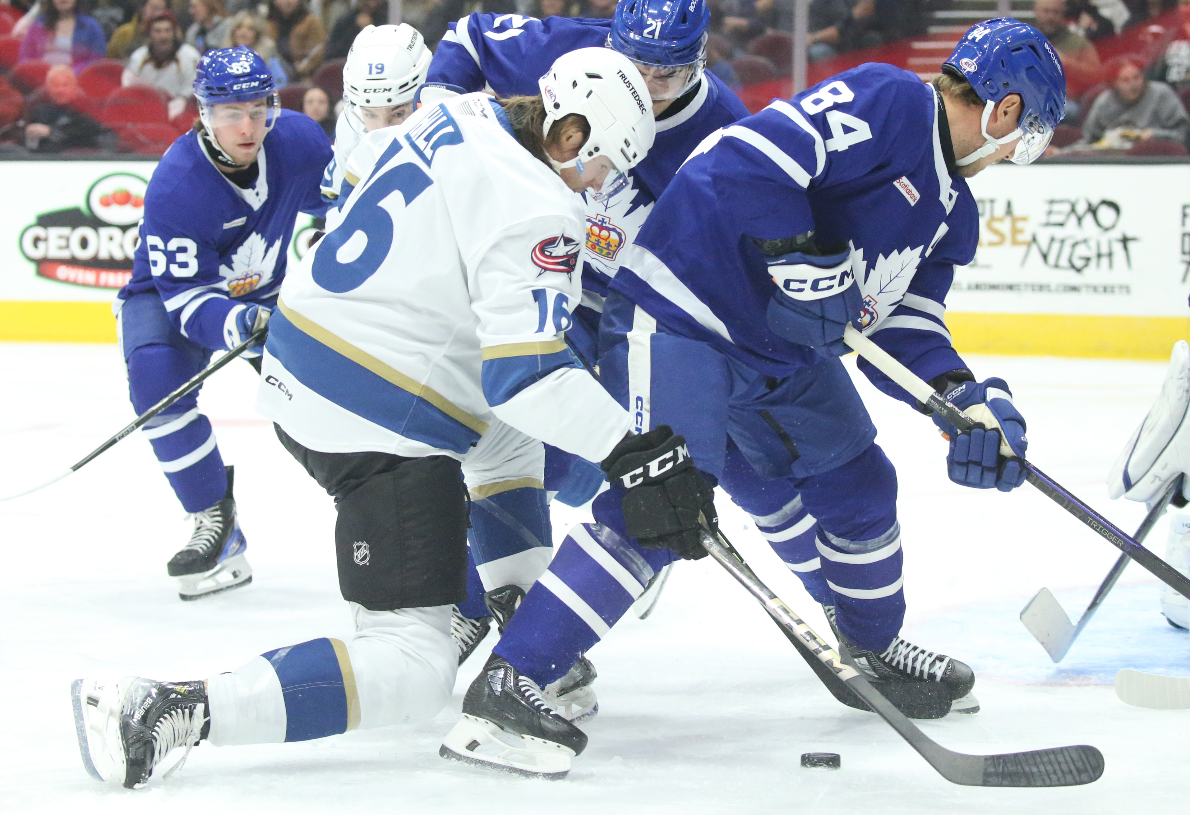Cleveland Monsters vs. Toronto Marlies, November 13, 2024 - cleveland.com