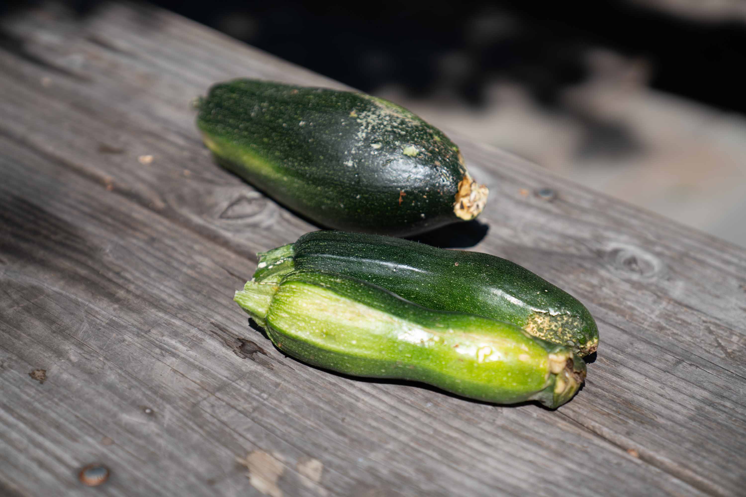 SI Food Justice Ride - silive.com