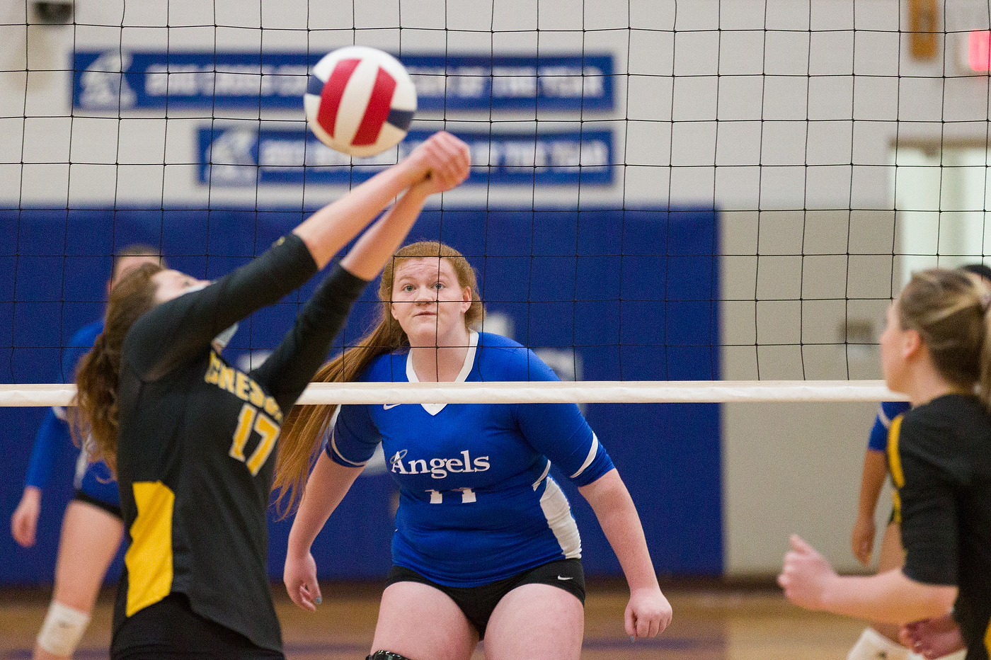 Girls Volleyball: Cresskill vs. Holy Angels - nj.com