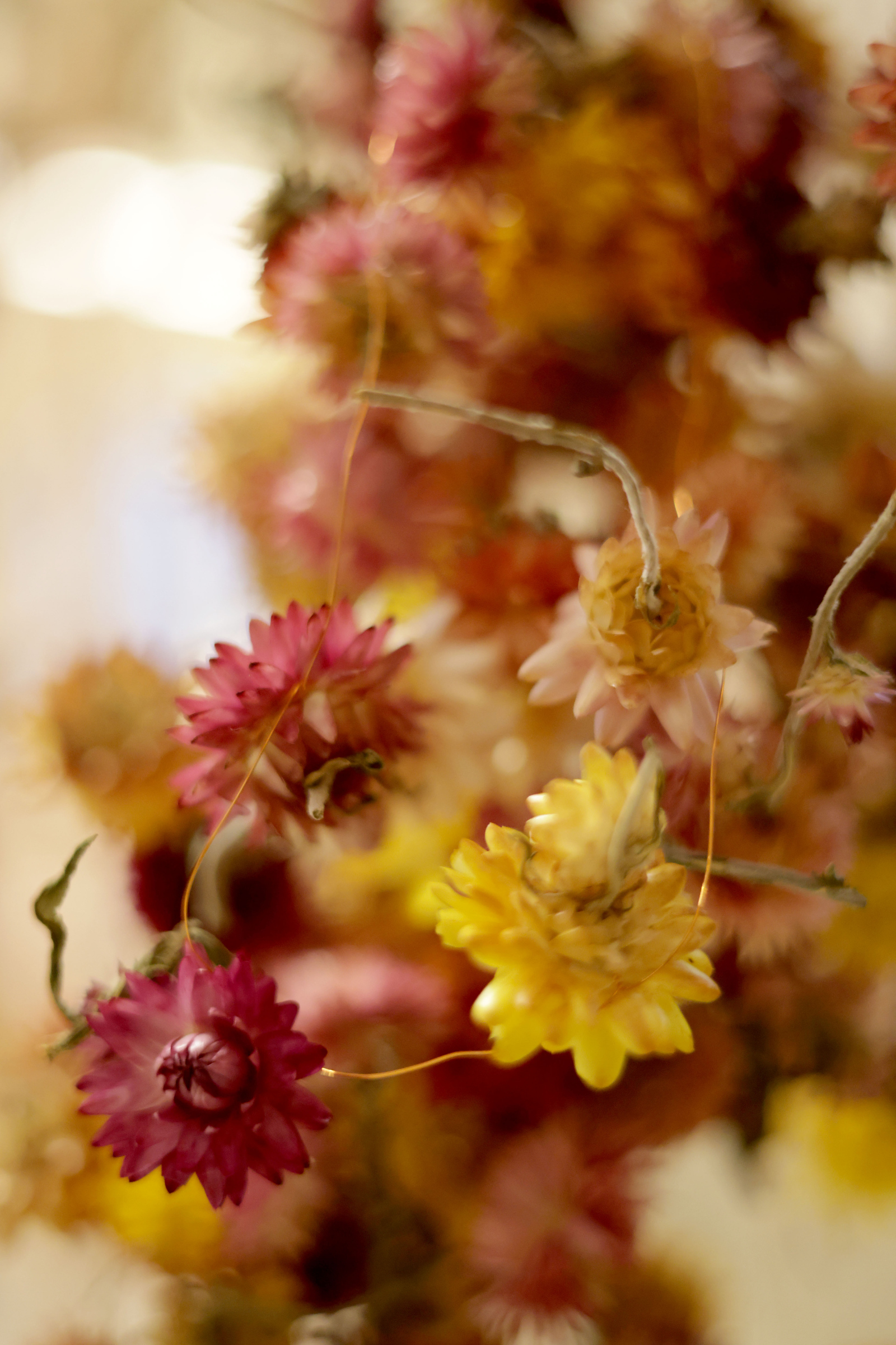 "The Archive" floral exhibit on display in Cleveland - cleveland.com