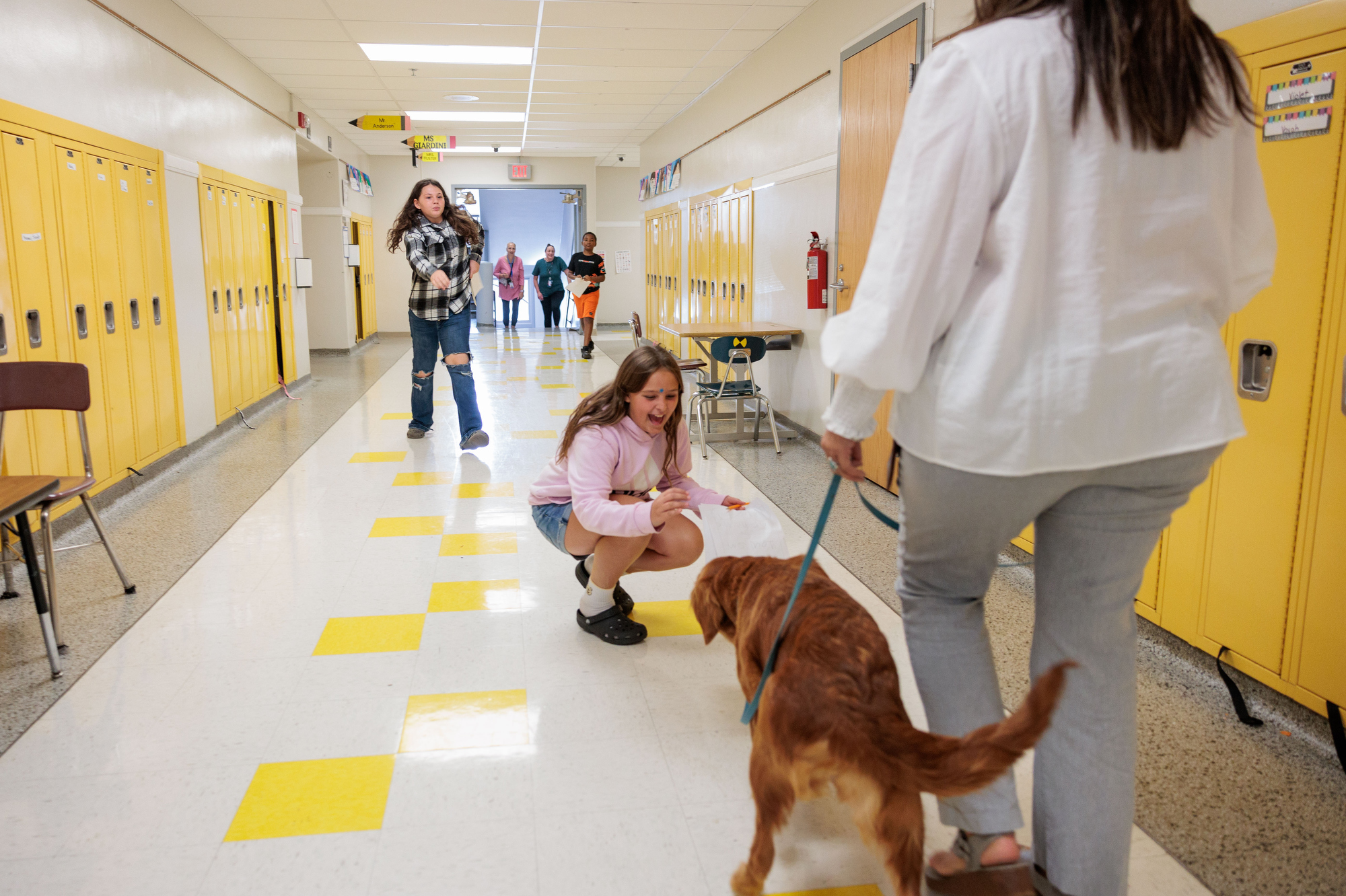 Mindy the Therapy Dog at Brick Elementary School - mlive.com