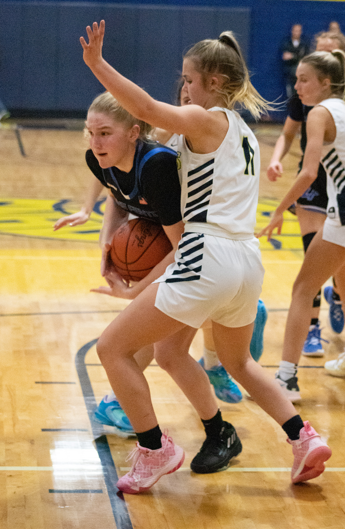 Lake Fenton at Goodrich Girls Basketball - mlive.com