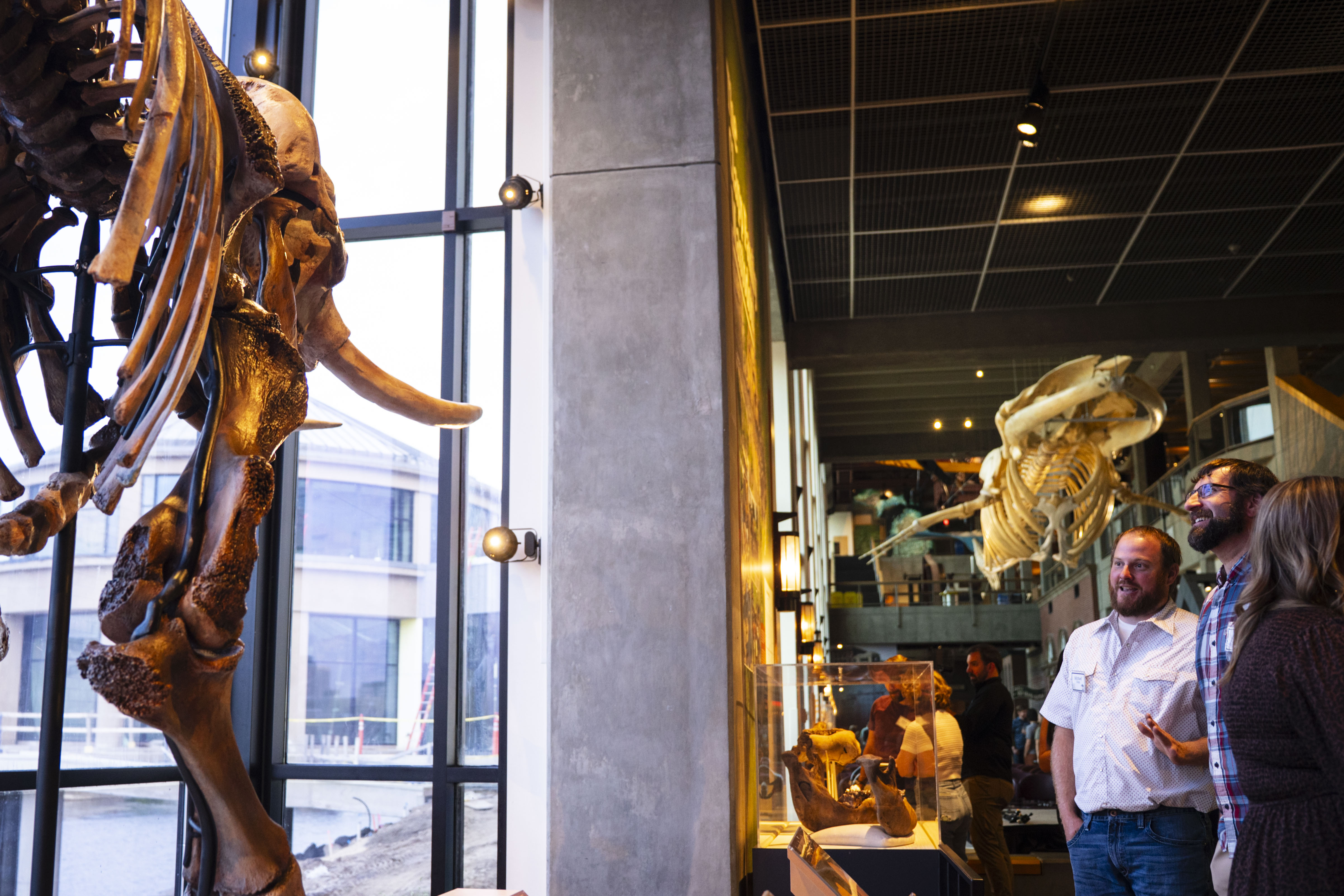 Grand Rapids Public Museum members react to 13,000 year old addition ...