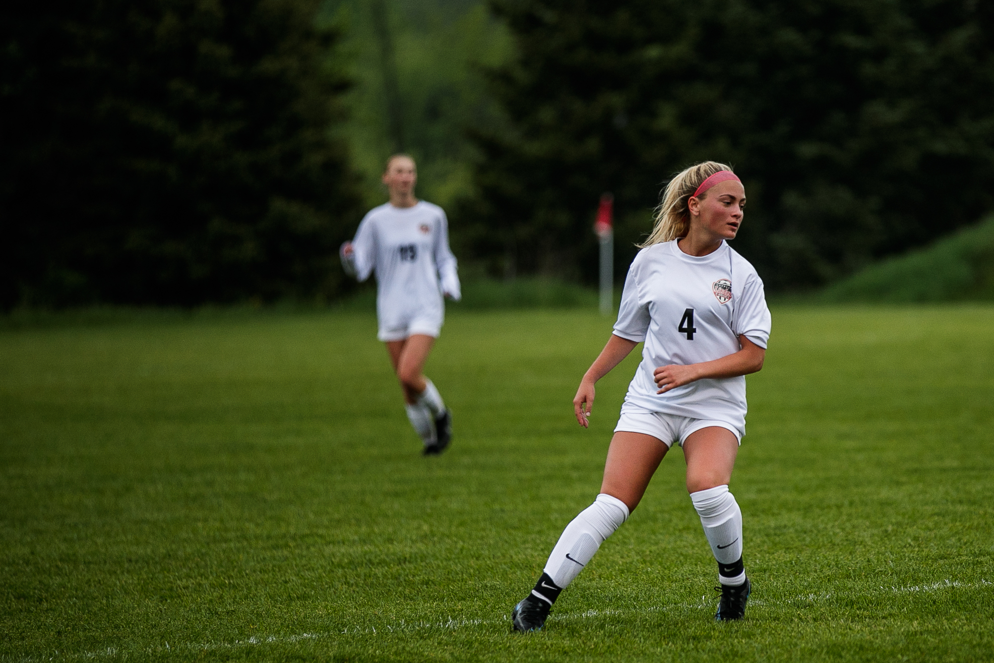 Linden defeats Flushing 2-1 in the Metro League Championship - mlive.com