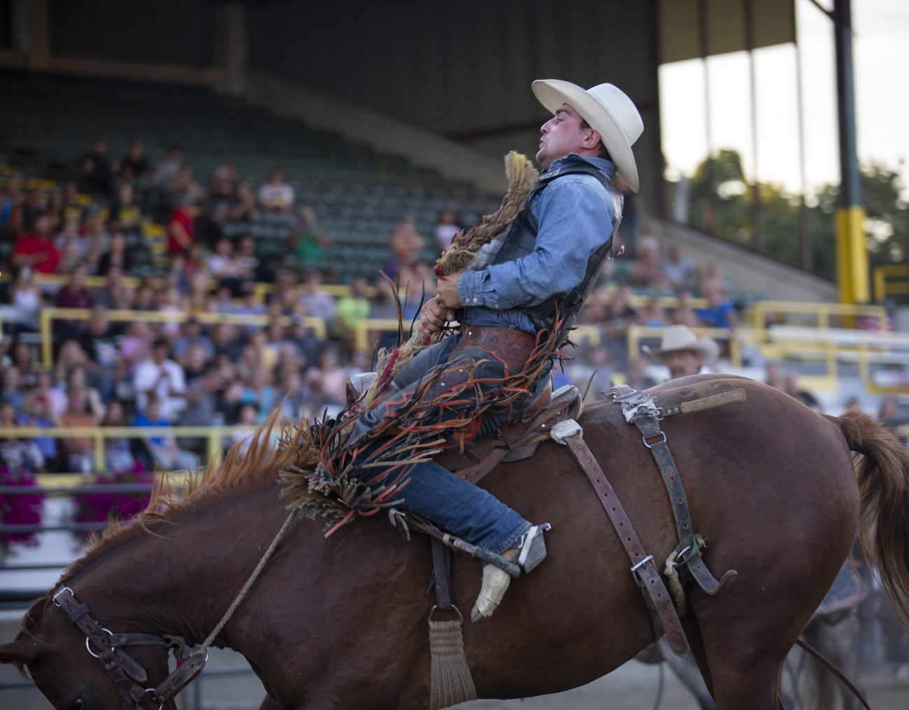 Twisted P Rodeo - mlive.com