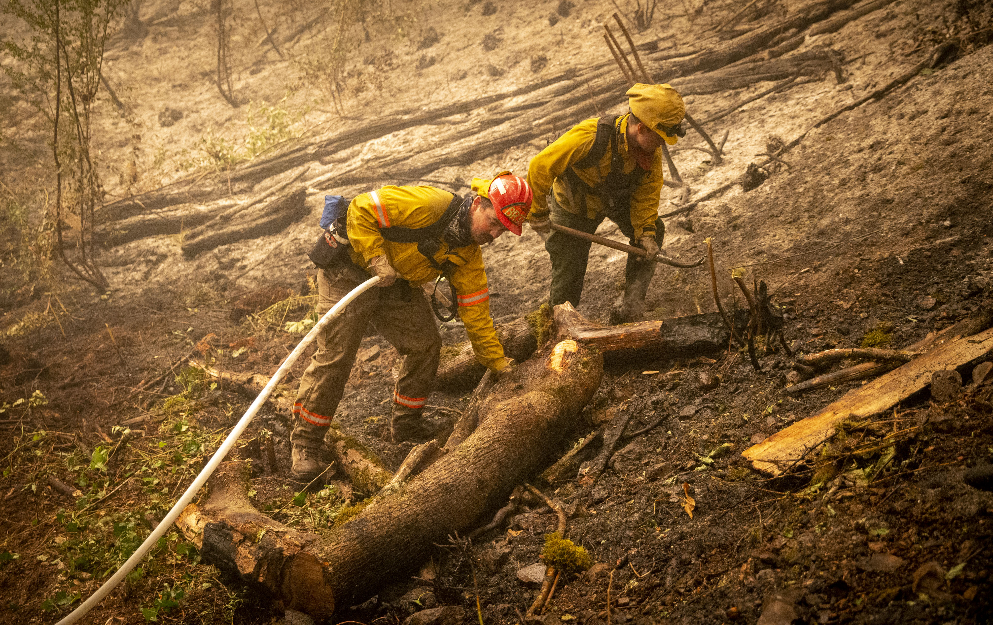 Holiday Farm fire ravages Oregon towns - oregonlive.com