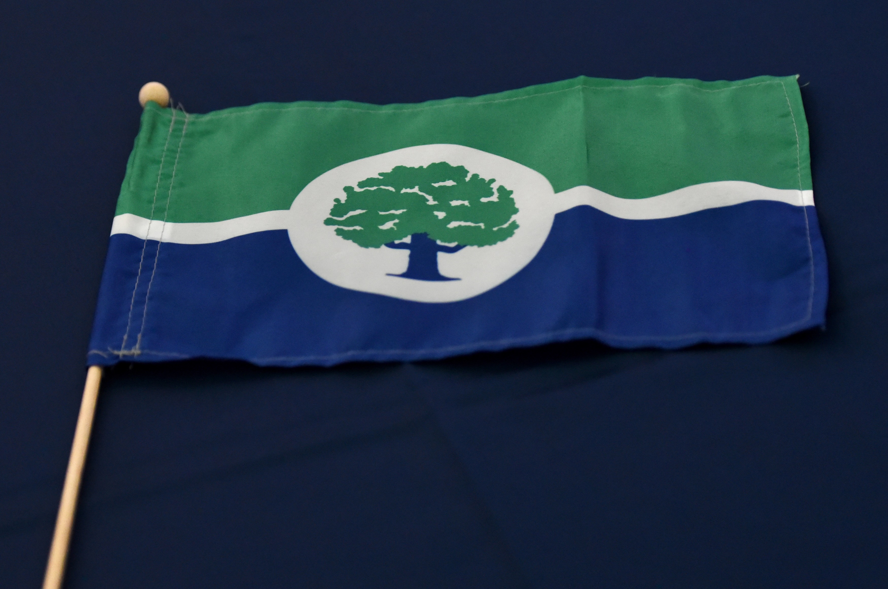 Ann Arbor bicentennial closing ceremony - mlive.com