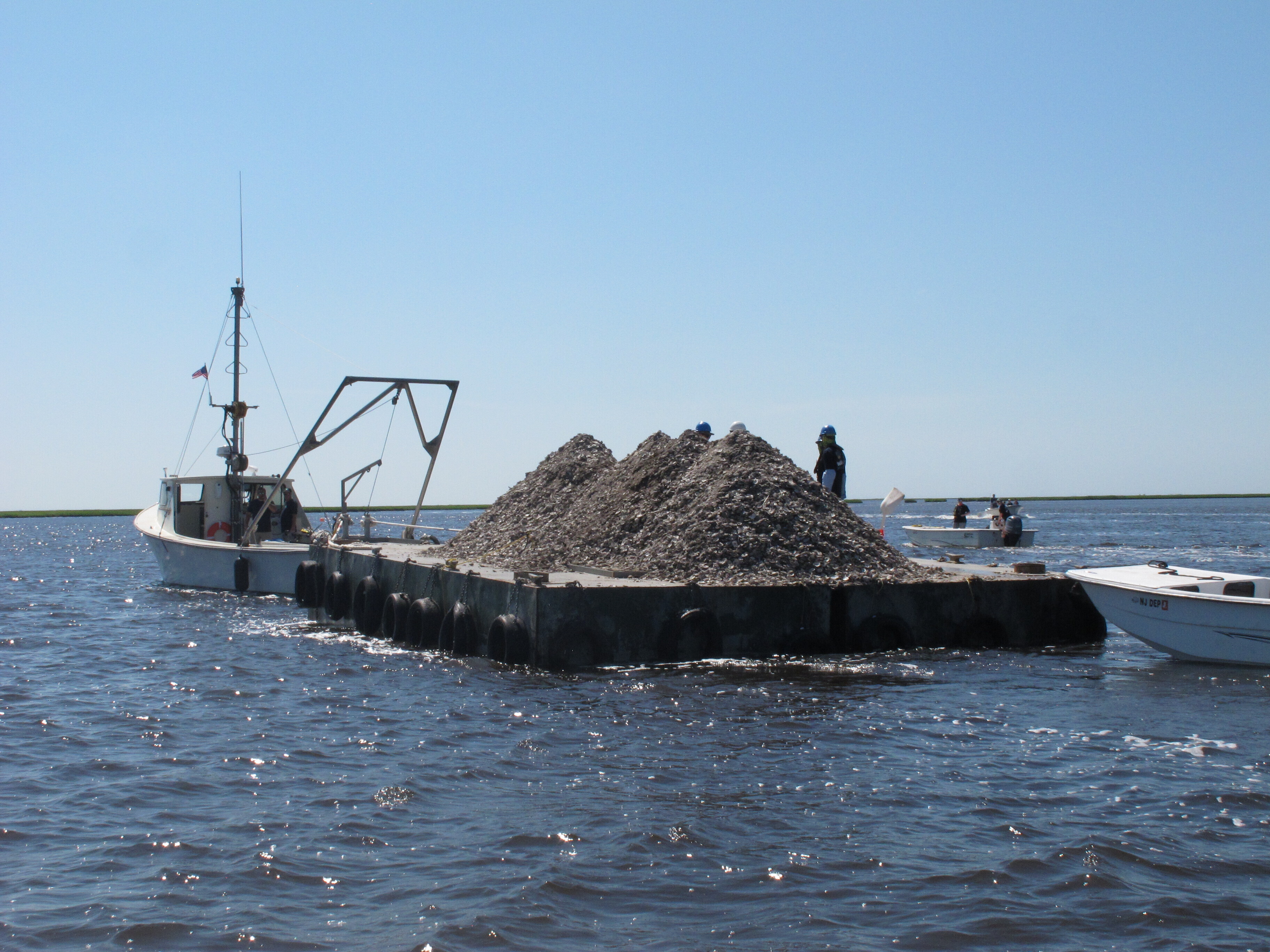 Discarded shells from restaurants help establish new oyster colonies ...