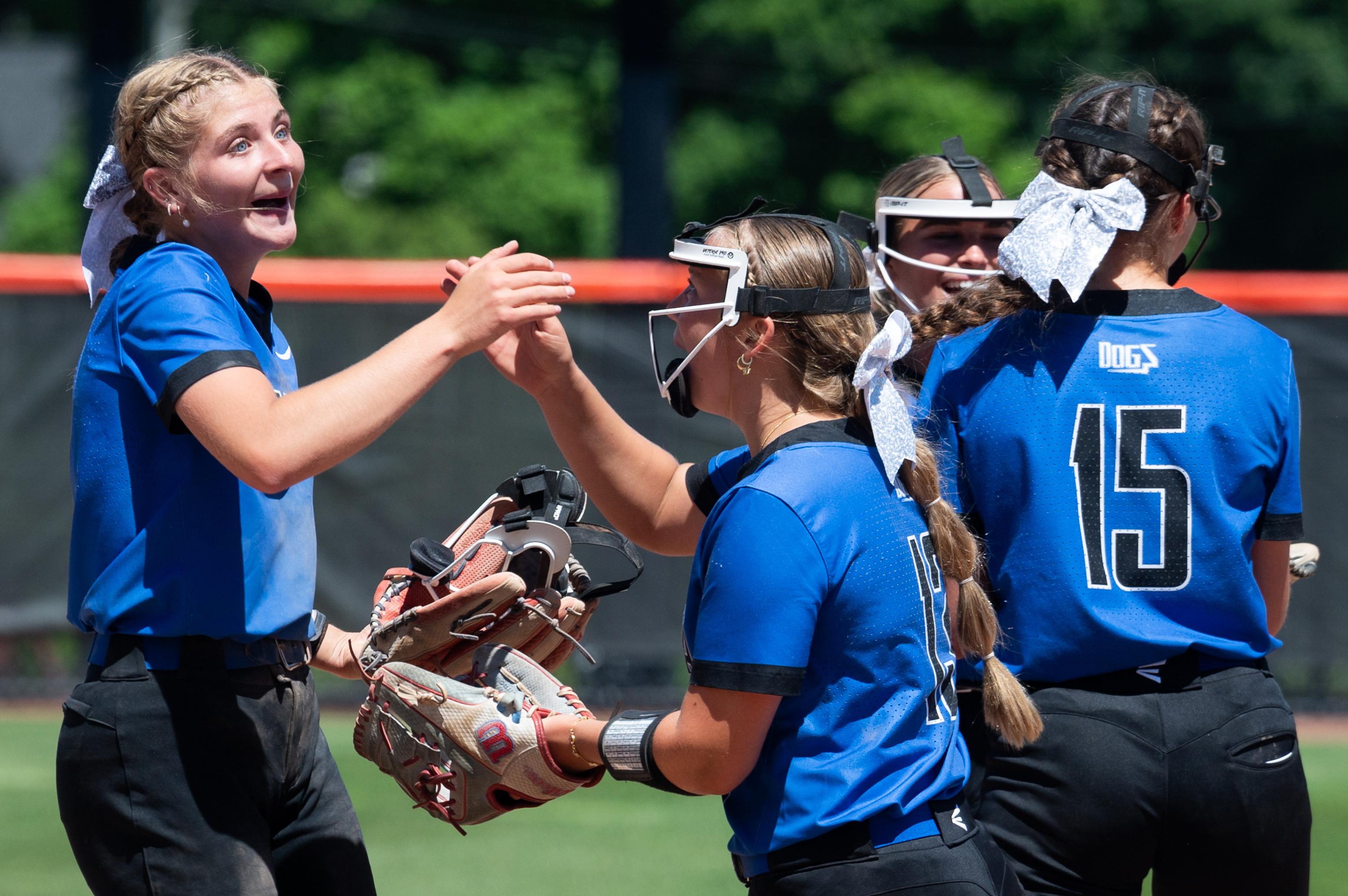 Buchanan's late rally secures MHSAA D3 softball quarterfinal over ...