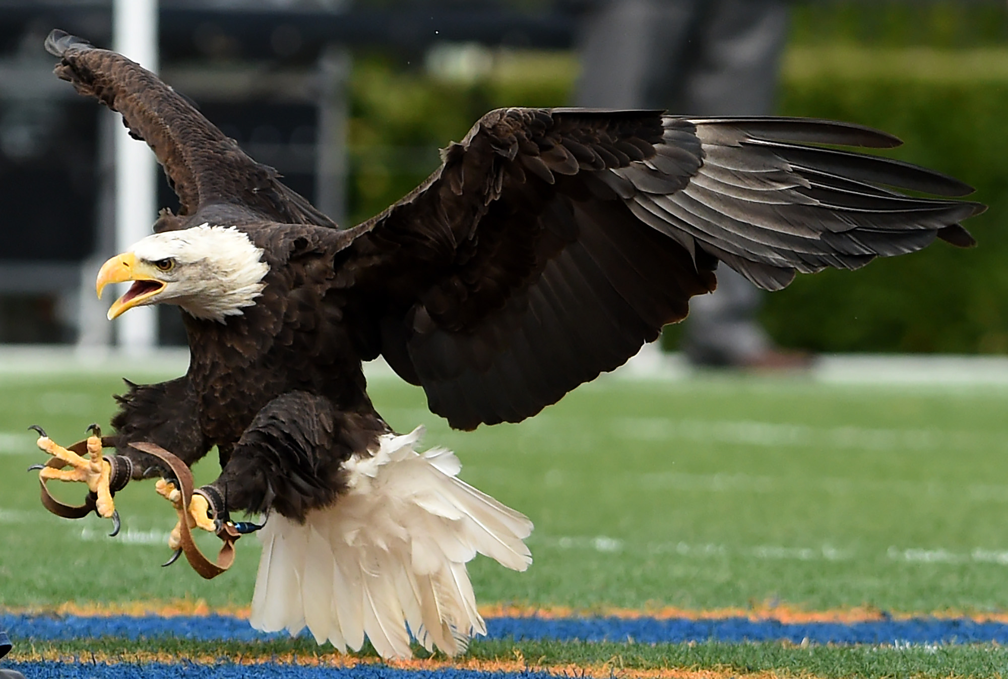 Best of AHSAA Super 7 Football Championships - al.com