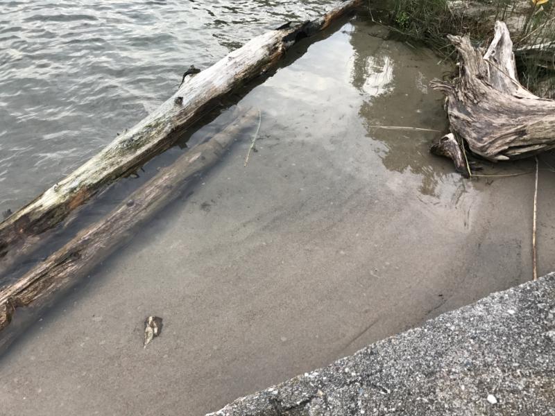 Butterfield Island, Michigan - mlive.com