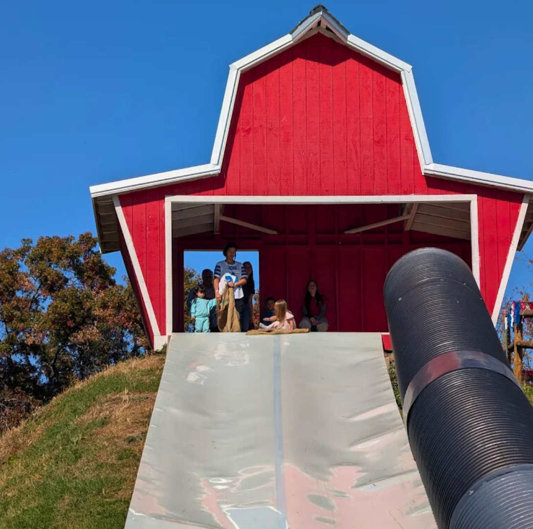 Michigan farm creates incredible Amon-Ra St Brown headstand corn maze ...