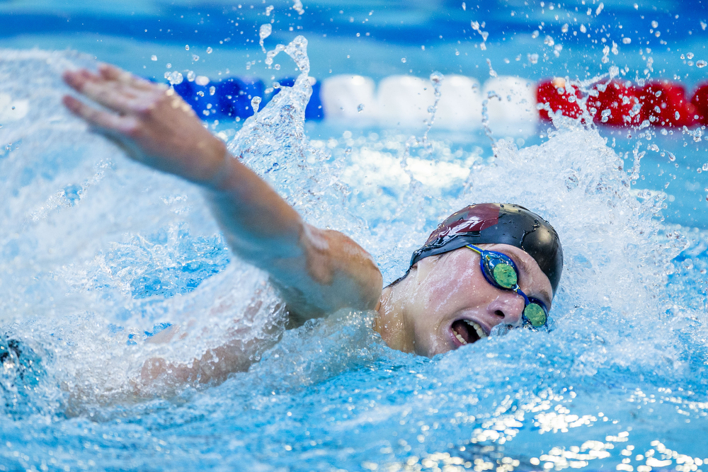 Hershey takes on State College and Palmyra in triple dual swim meet ...