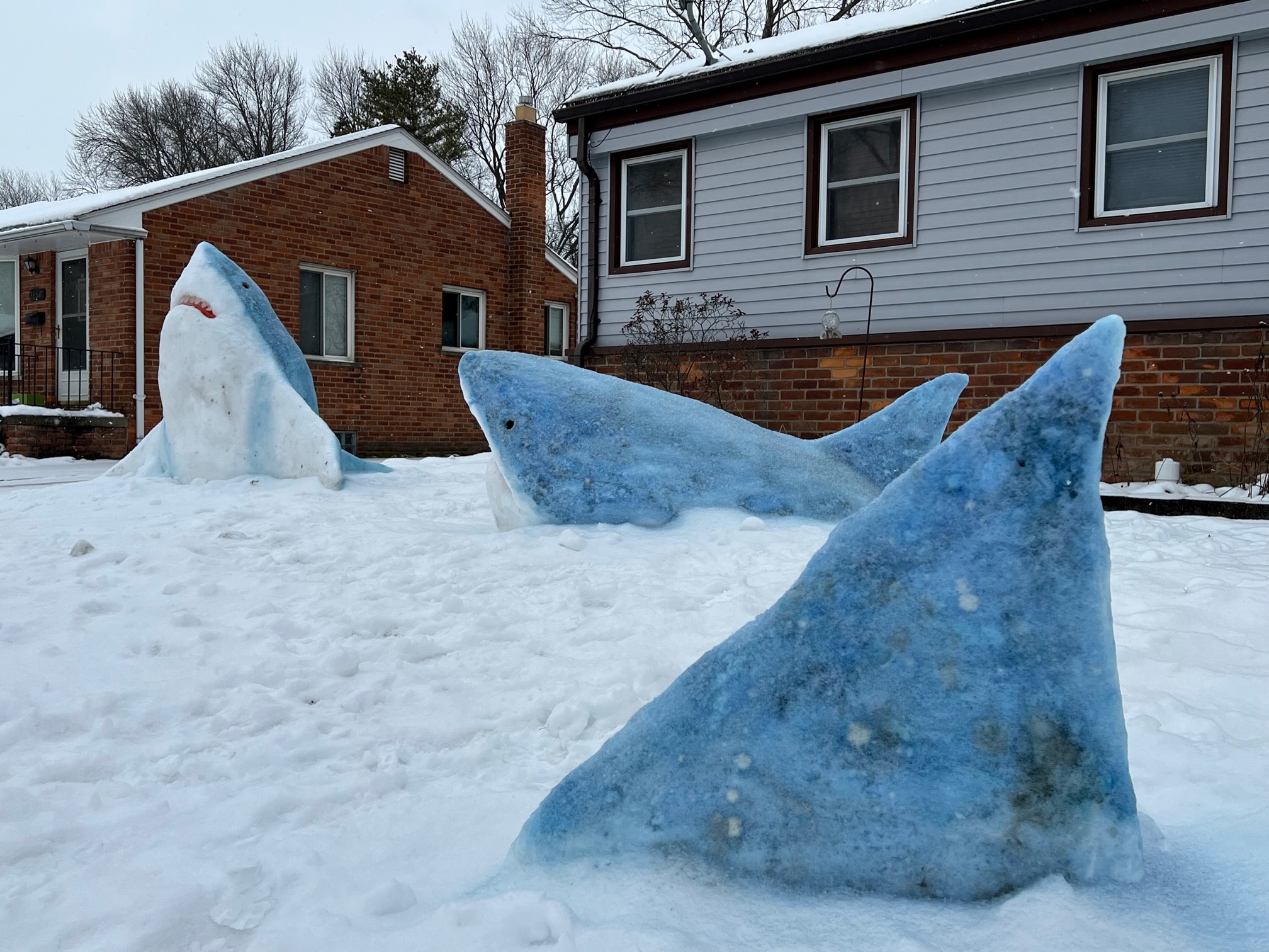 Michigan woman creates snow sharks on her front lawn. - mlive.com