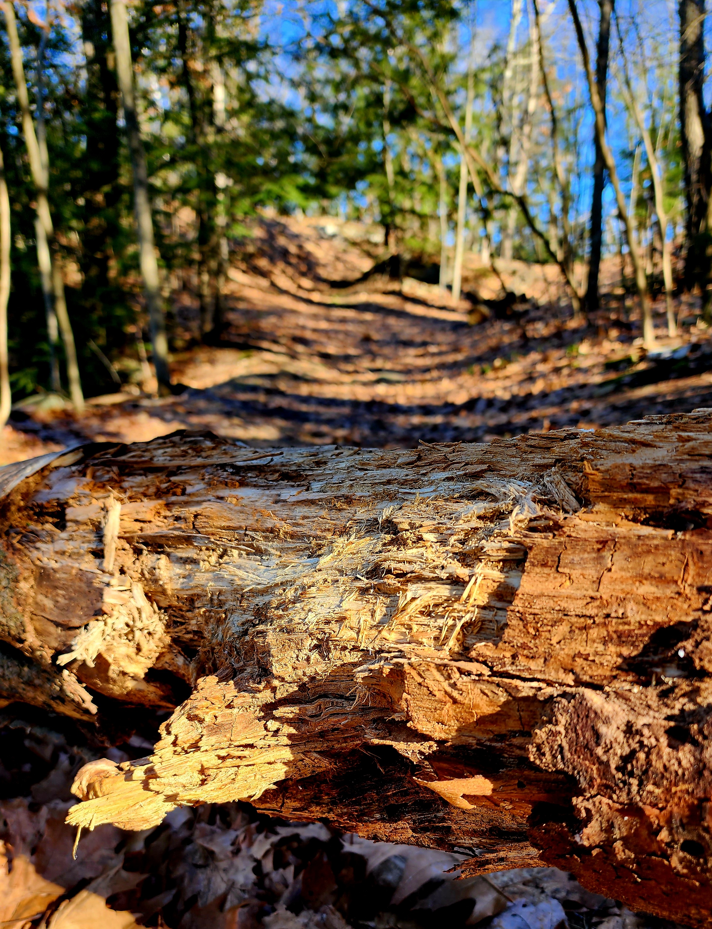 Get the chills on winter hike to Eyrie House Ruins - masslive.com