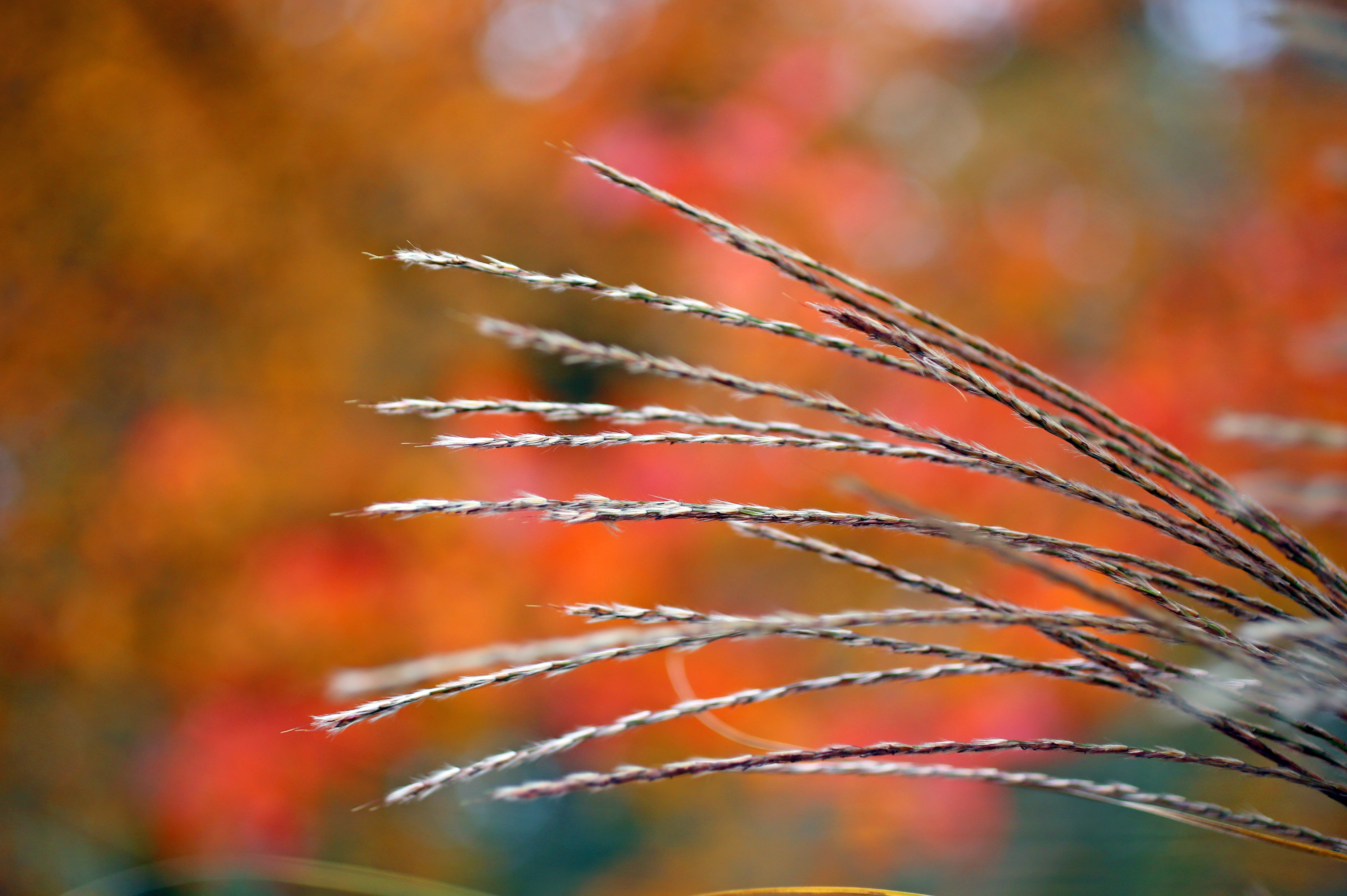 Fall colors are on full display in Northeast Ohio, October 27, 2022 ...