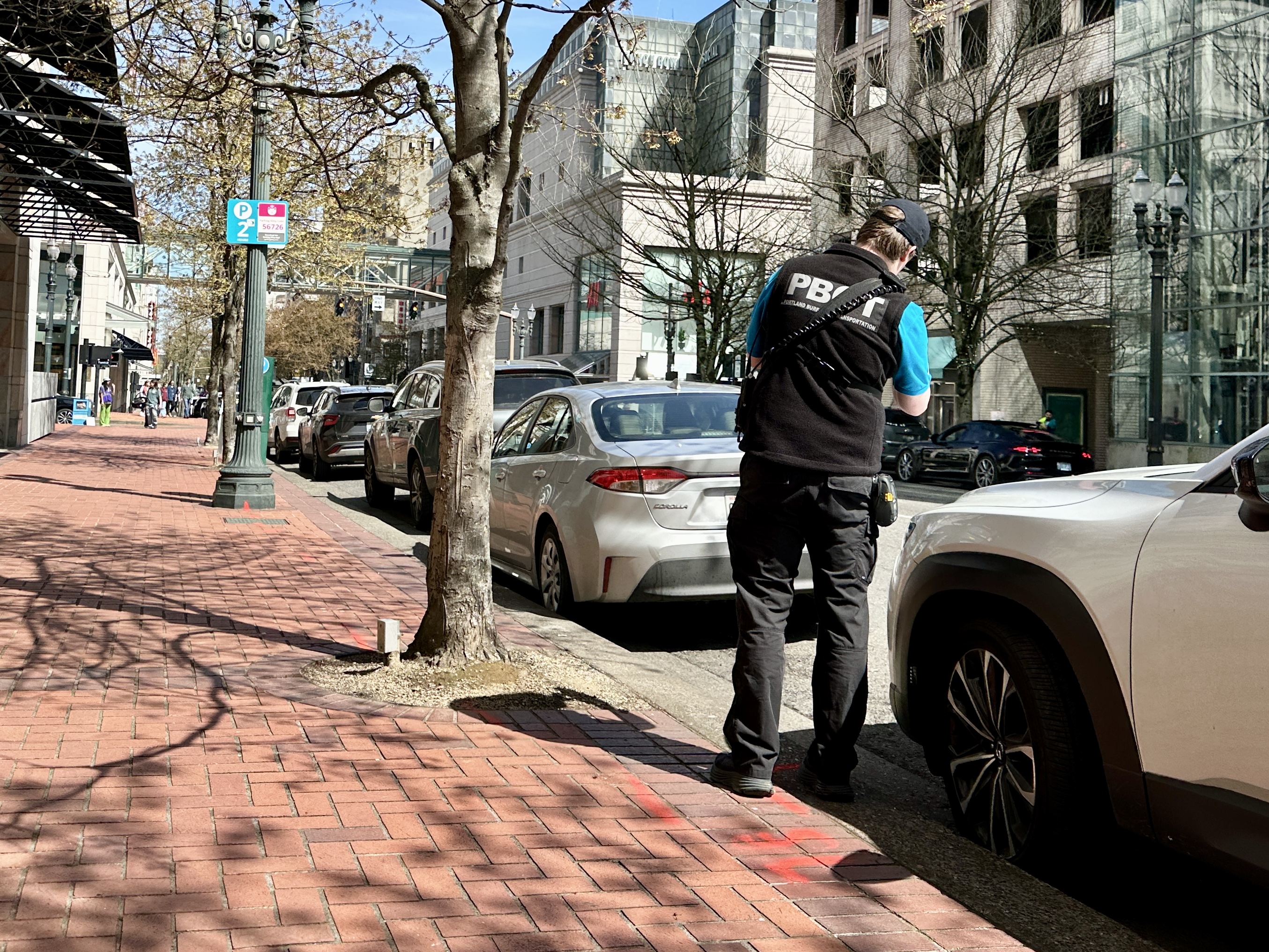 Portland & Oregon Statistics & Demographics | Data Hub - OregonLive.com
