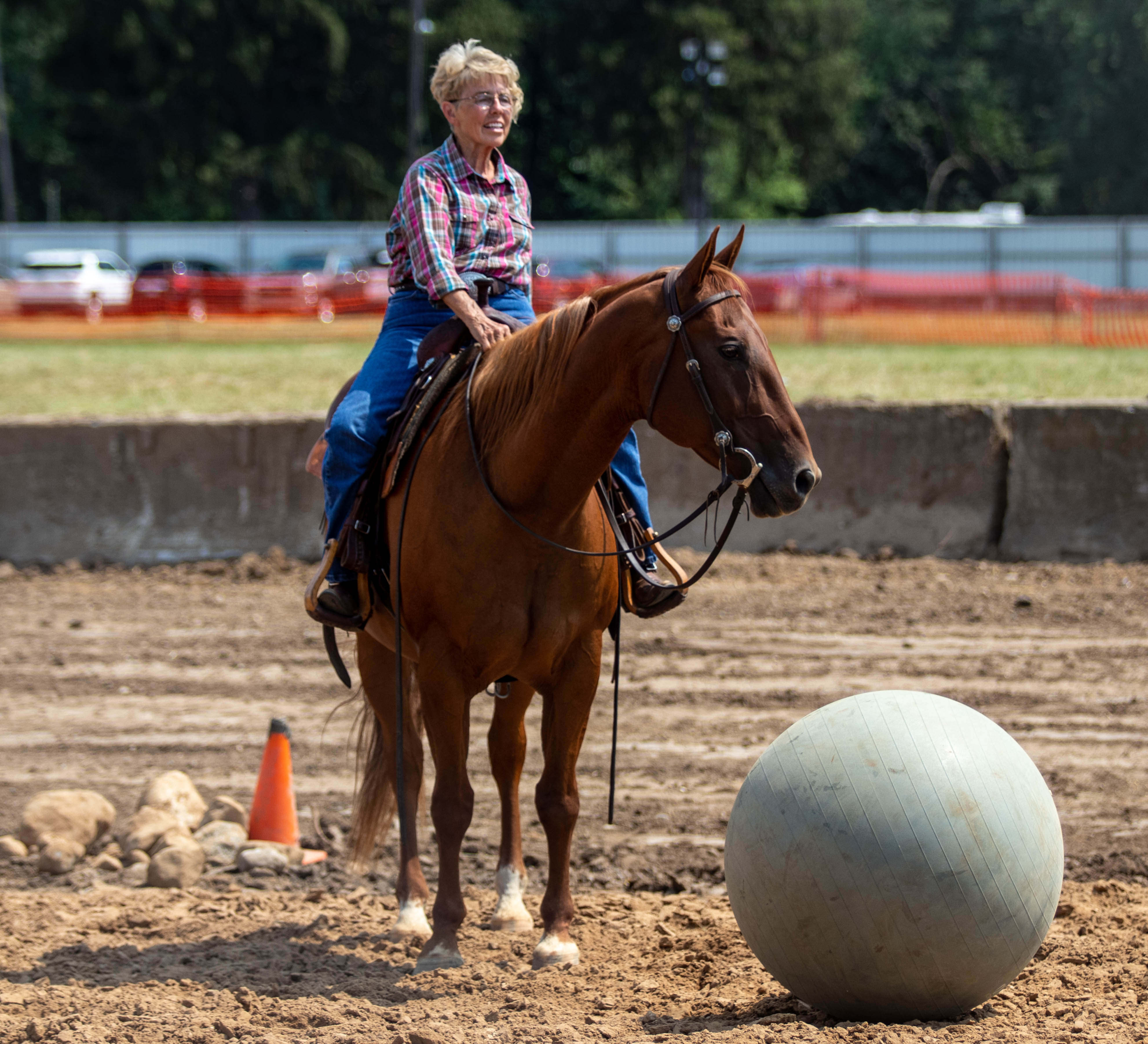 Horse Soccer Comes to the Ionia Free Fair - mlive.com