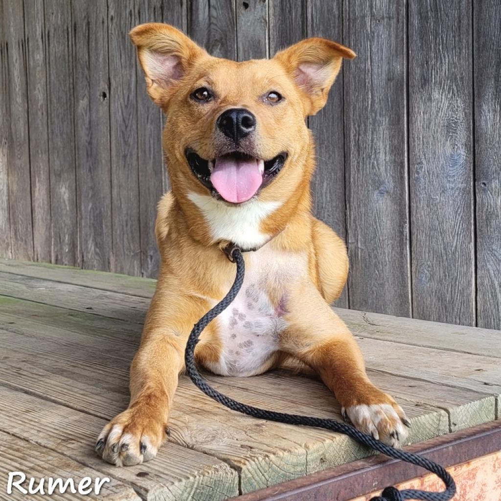 Let me introduce you to a pet that can change your life forever: August ...