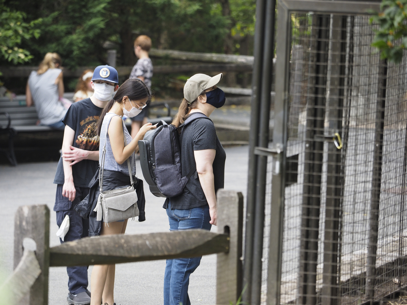 Turtle Back Zoo reopens after pandemic restrictions lifted - nj.com