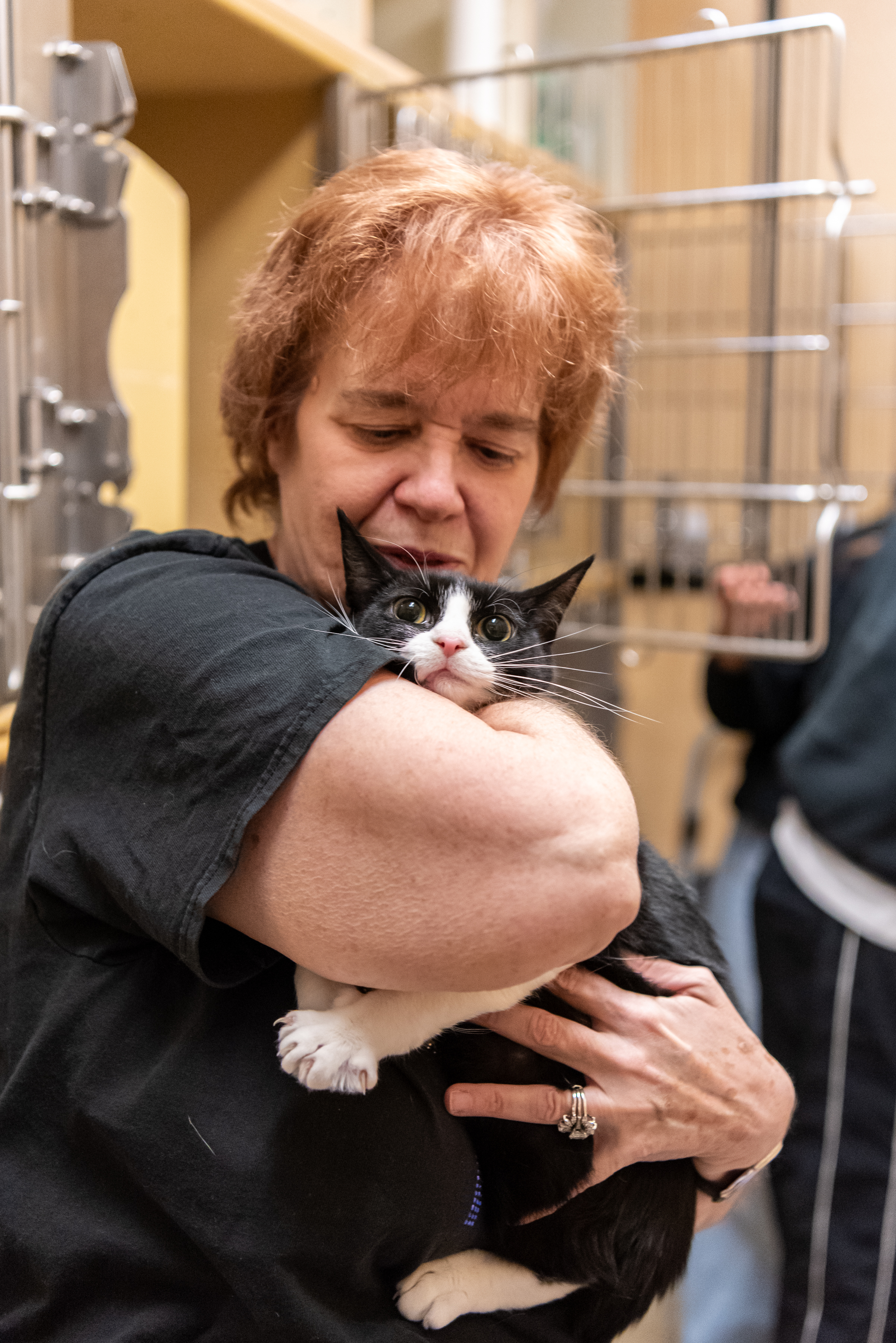 Animal adoption center at Secaucus PetSmart - nj.com