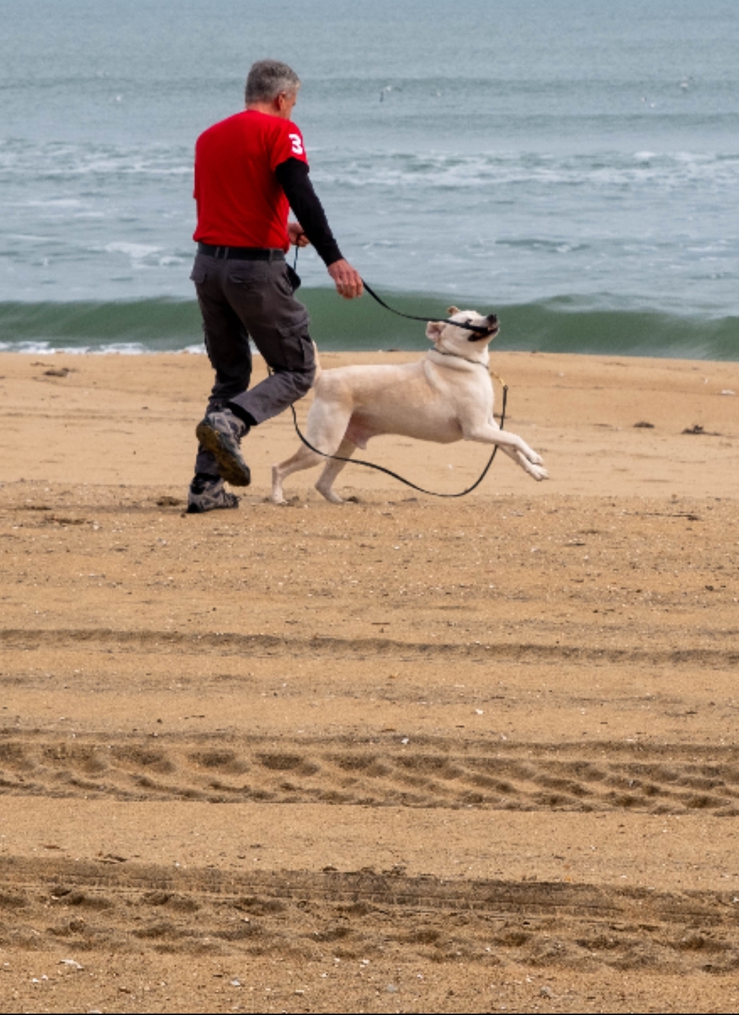 MGM Springfield Security K9 Randal reunites with former partner John ...