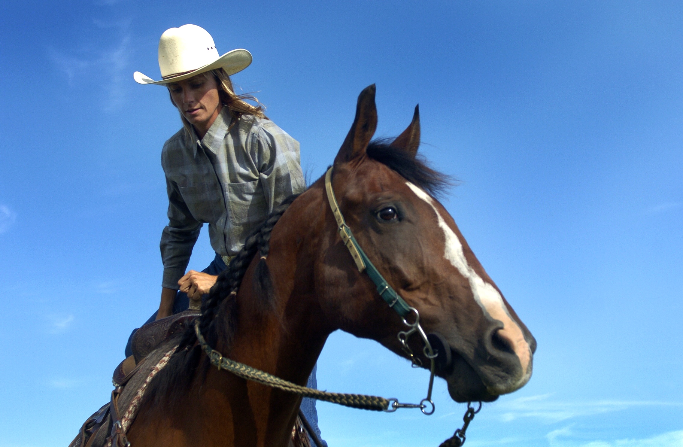 A look back at annual rodeo in Gaines Township - mlive.com