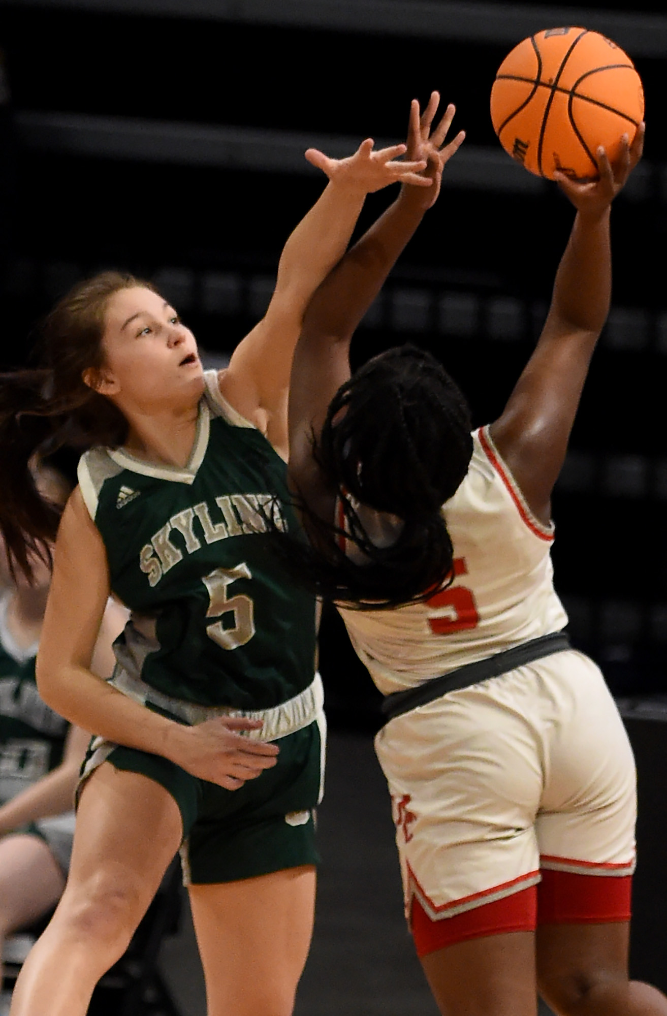 AHSAA 1A Championship: Marion County vs. Skyline girls - al.com