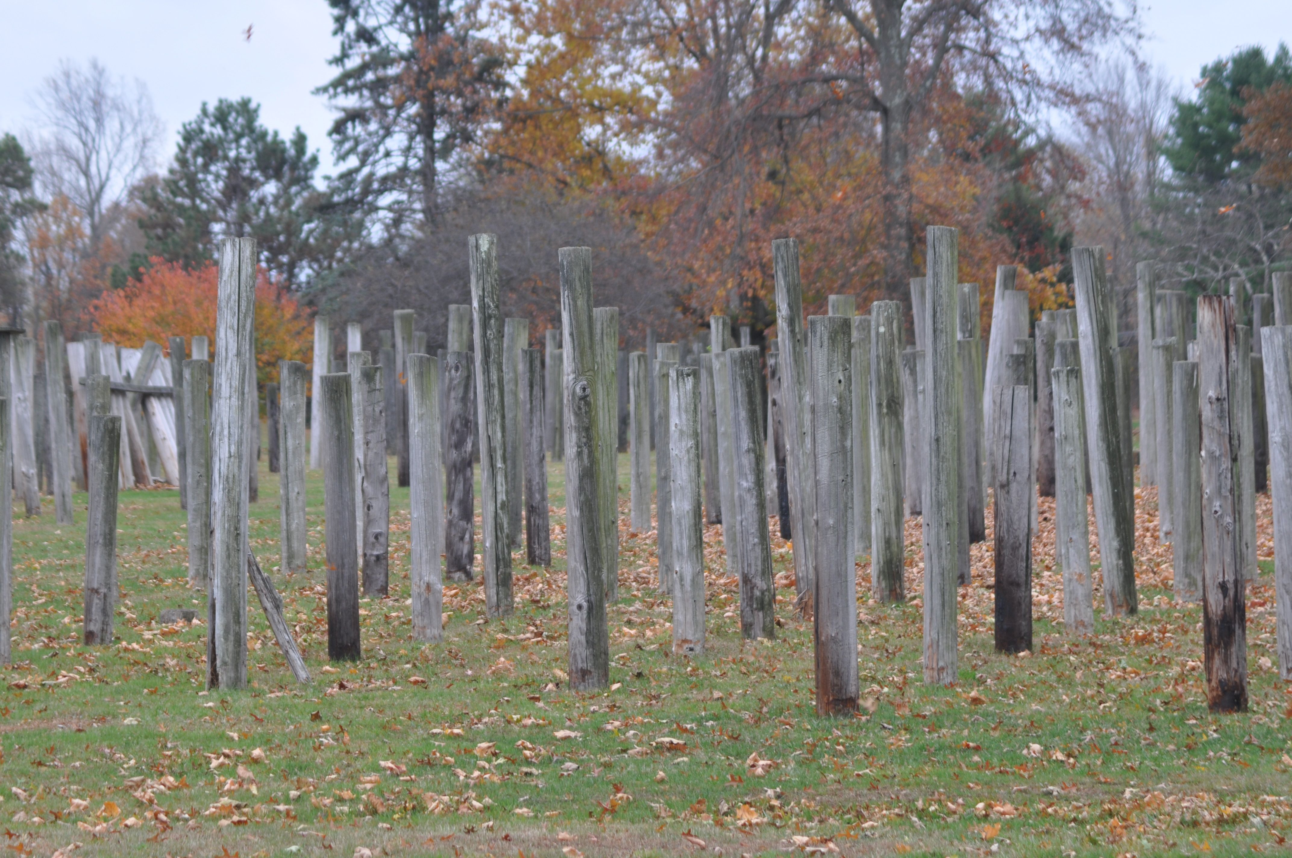 Telephone Pole Farm