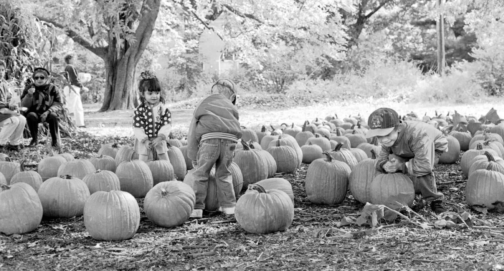 Staten Island pumpkin fun | Then and now - silive.com
