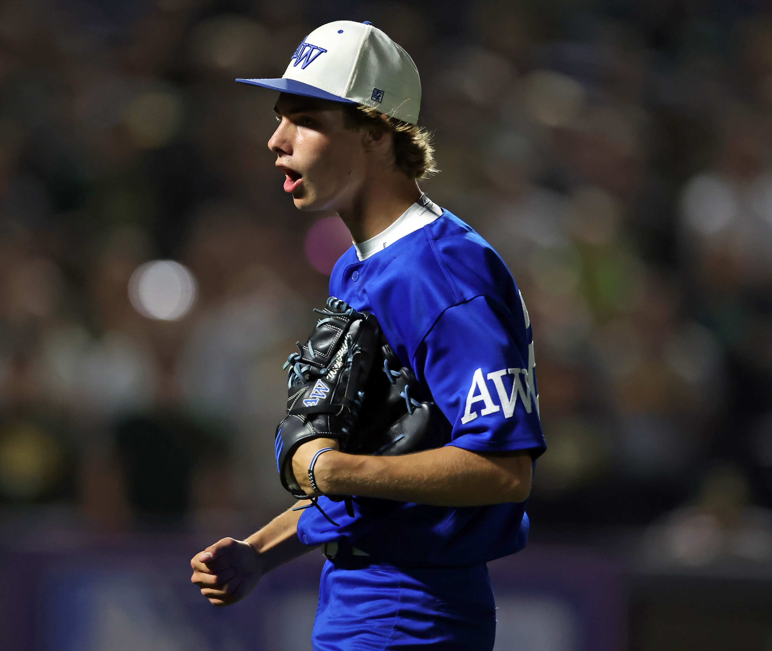 Amherst Steele vs. Anthony Wayne in the OHSAA DII state baseball ...