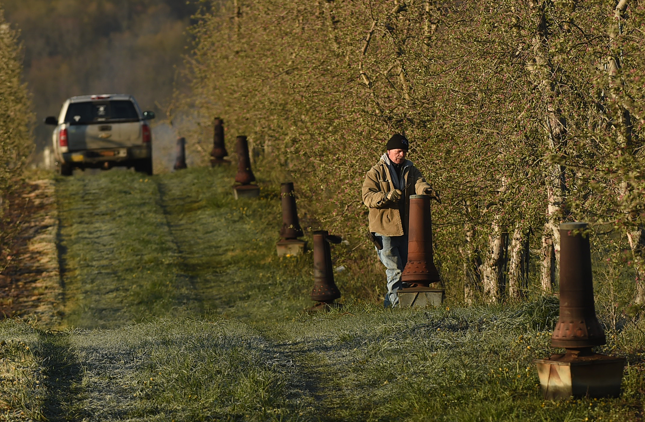 Frost takes a grip on Lafayette apple orchard Beak & Skiff - syracuse.com
