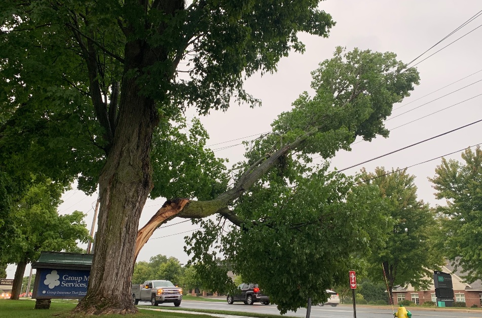 Storm damage Aug. 29, 2022 - mlive.com