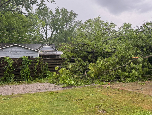 Alabama storm damage: May 9, 2024 - al.com